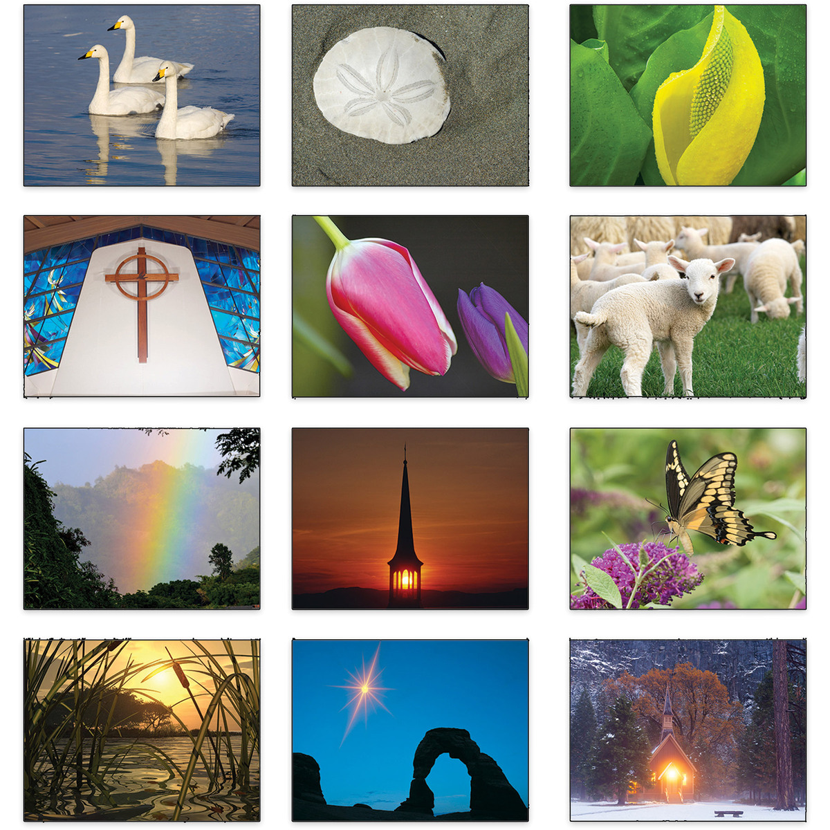 Religious Reflections - SS295 | CalendarWarehouse