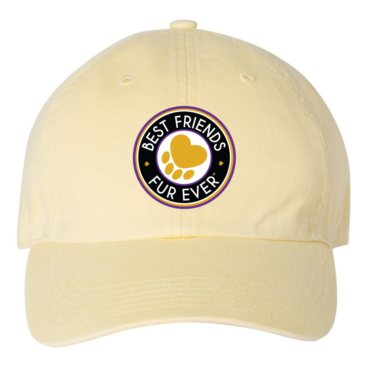 Best Friends Fur Ever Logo - Richardson Washed Chino Cap - 320-B | Best ...