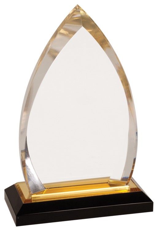 8-3/4" Oval Impress Gold Mirror Acrylic Award - IMP602G | All-Secure ...