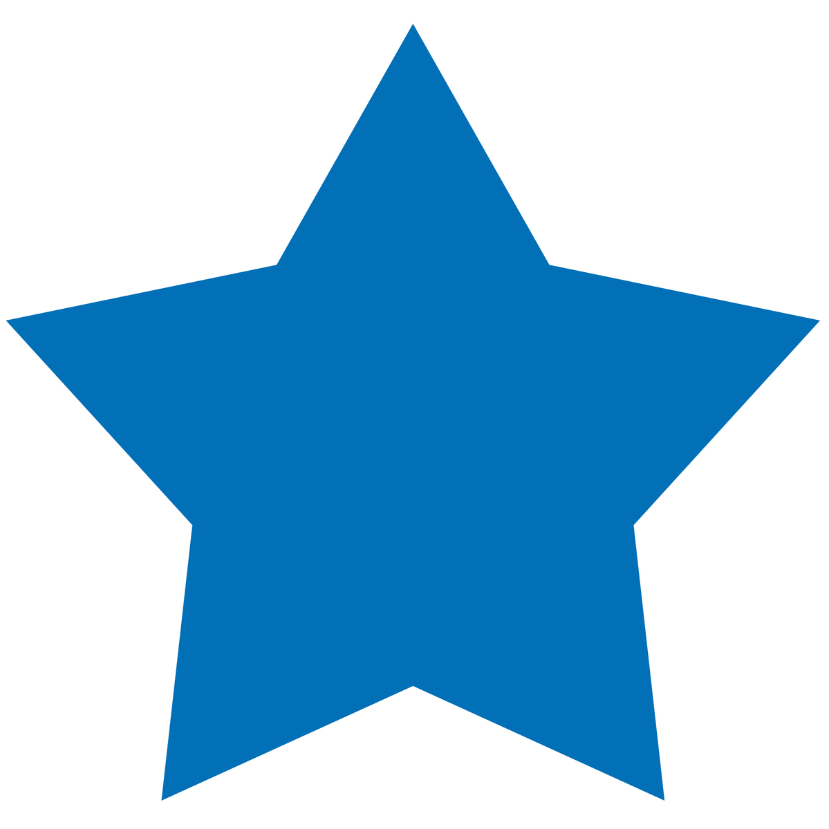 Star Shape STAR301 Foamworx US