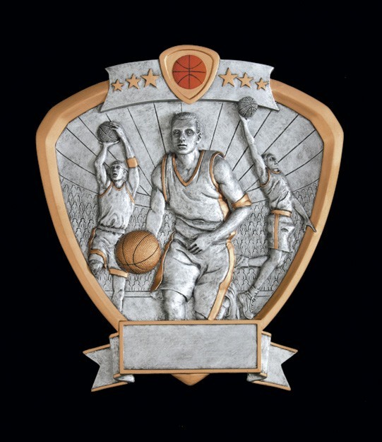 Basketball Male Signature Shield Series Award - 58505GS | All-Secure ...
