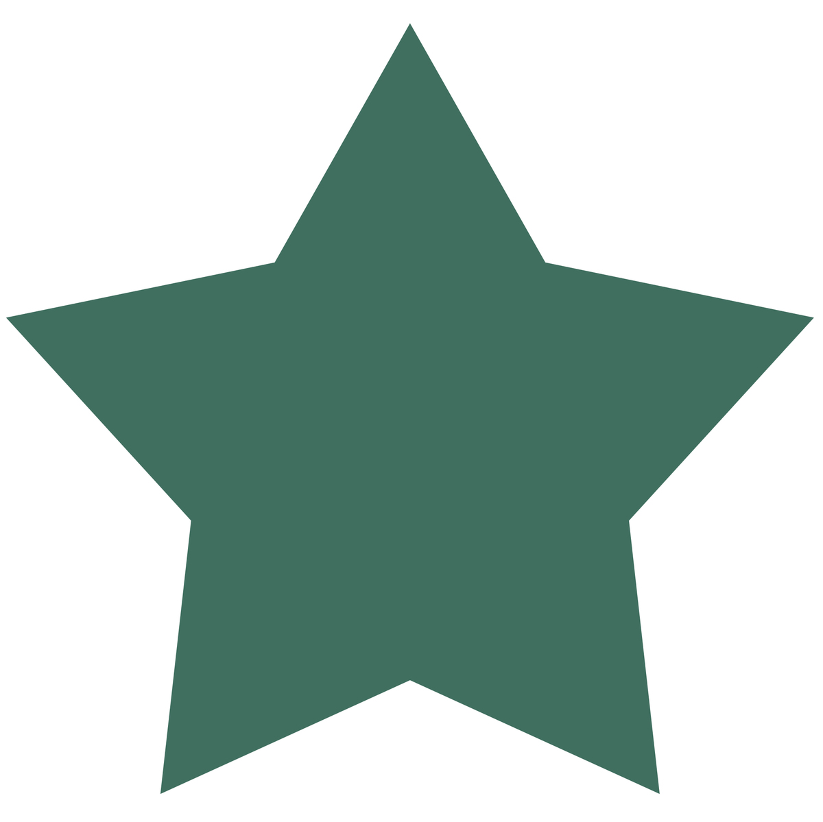 Star Shape STAR301 Foamworx US