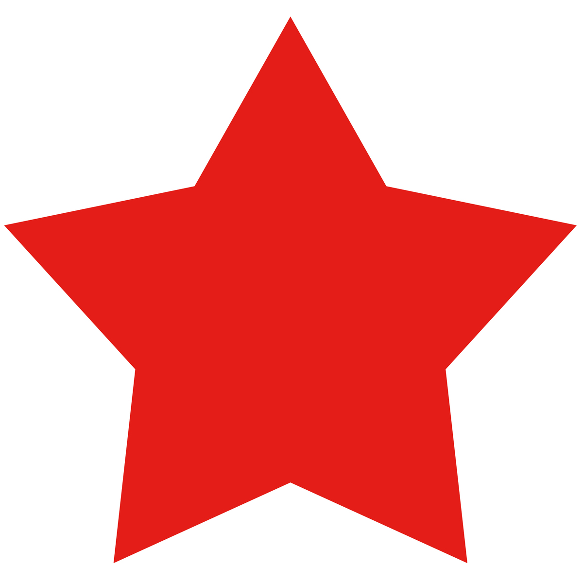 Star Shape STAR301 Foamworx US