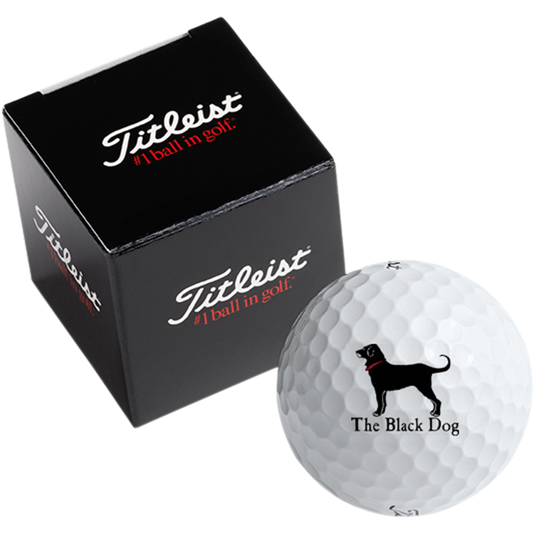 Titleist 1-Golf Ball Box Pro V1/Prov1X - T1BBPV1-FD | Branding Ideas ...