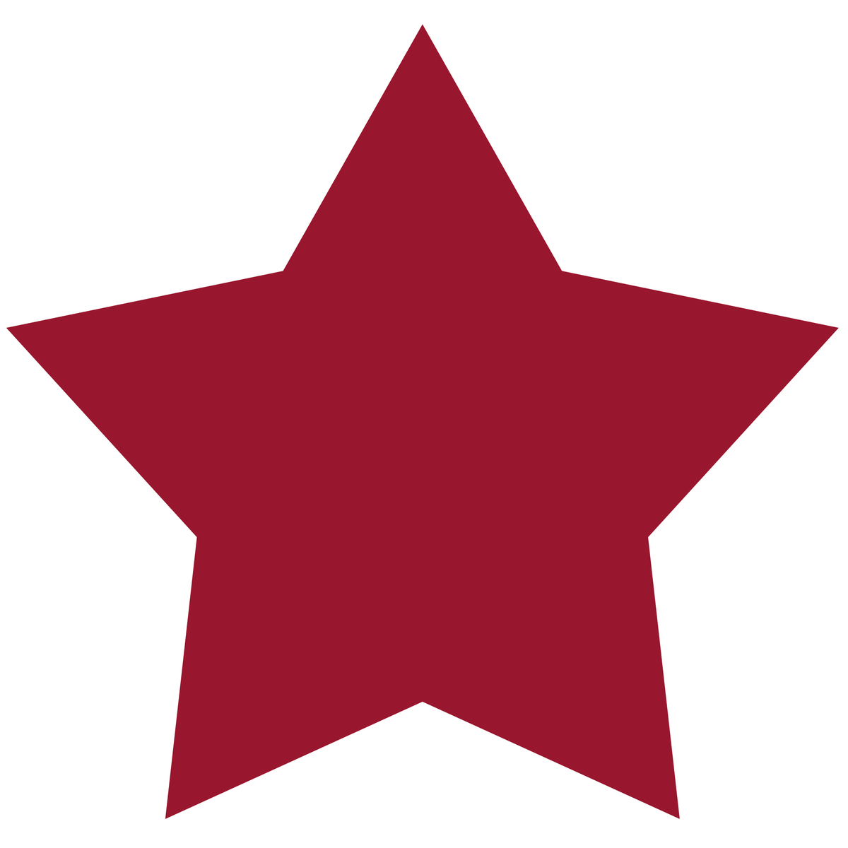 Star Shape STAR301 Foamworx US