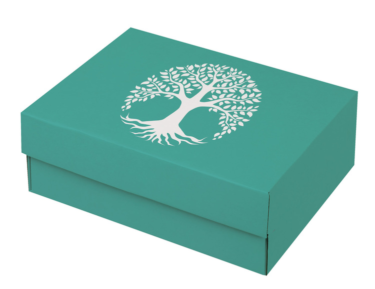 8 1/2" x 6 1/2" x 3 1/8" - Fold Above E-Flute Box - BX-310 | The Chest