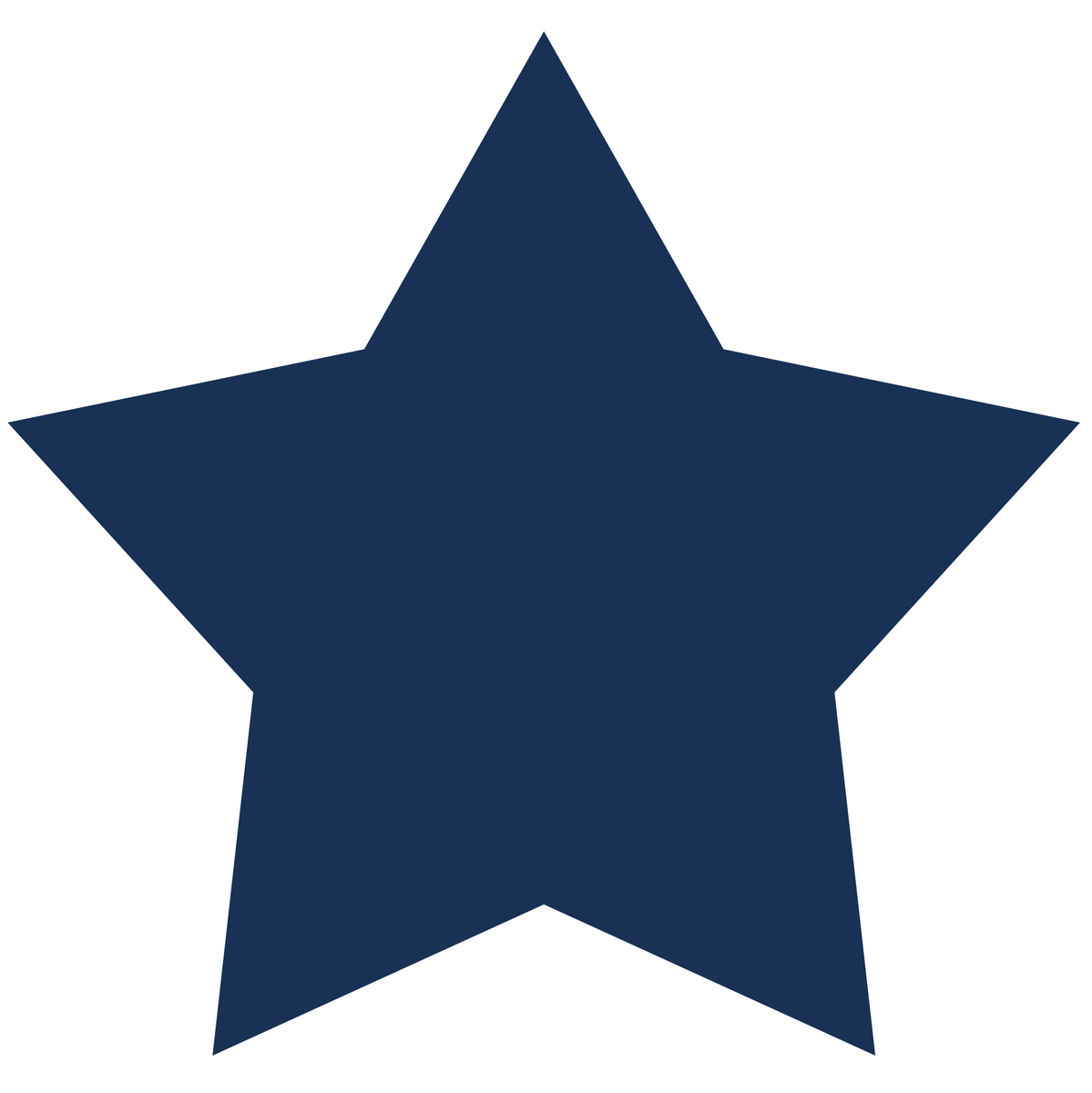 Star Shape STAR301 Foamworx US
