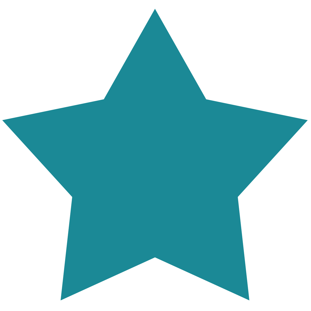 Star Shape STAR301 Foamworx US